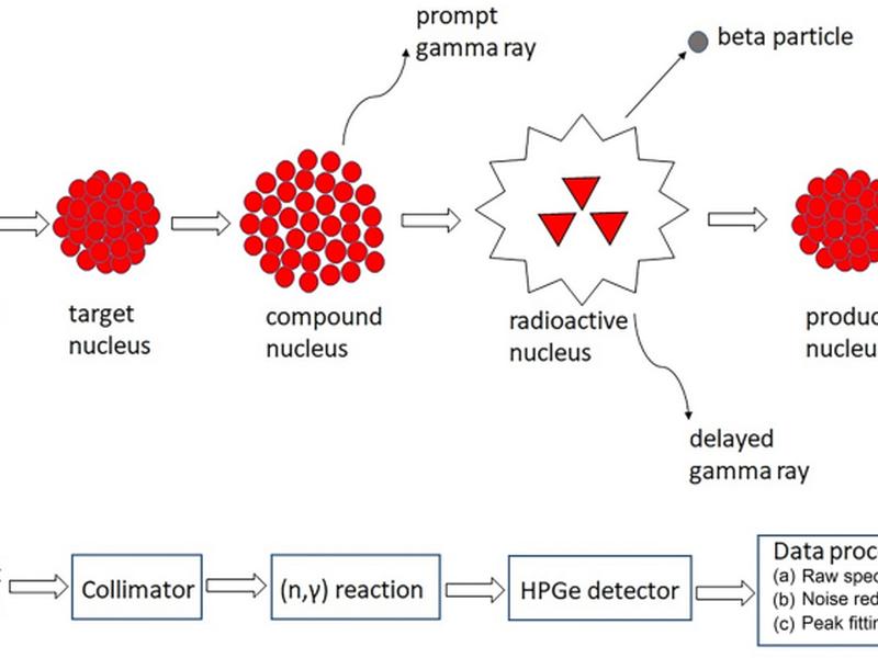 A Comparison Of Machine Learning Methods To Classify Radioactive Elements Using Prompt Gamma Ray